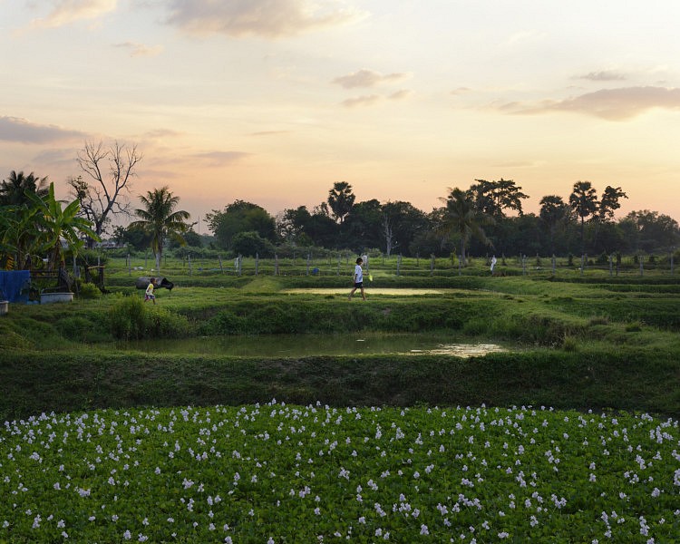 The Isaan region - Thailand | Laurent Weyl photographer